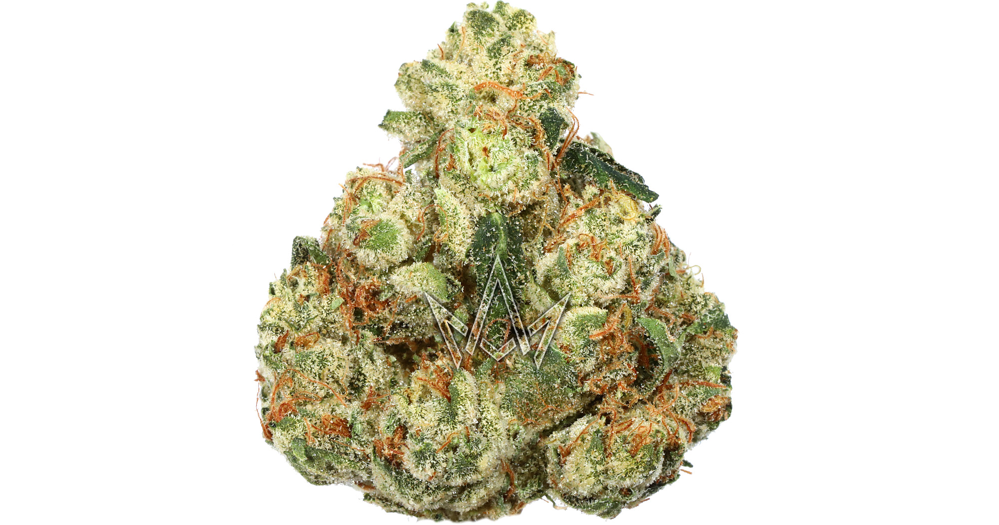 Wiz Khalifa Weed Strain
