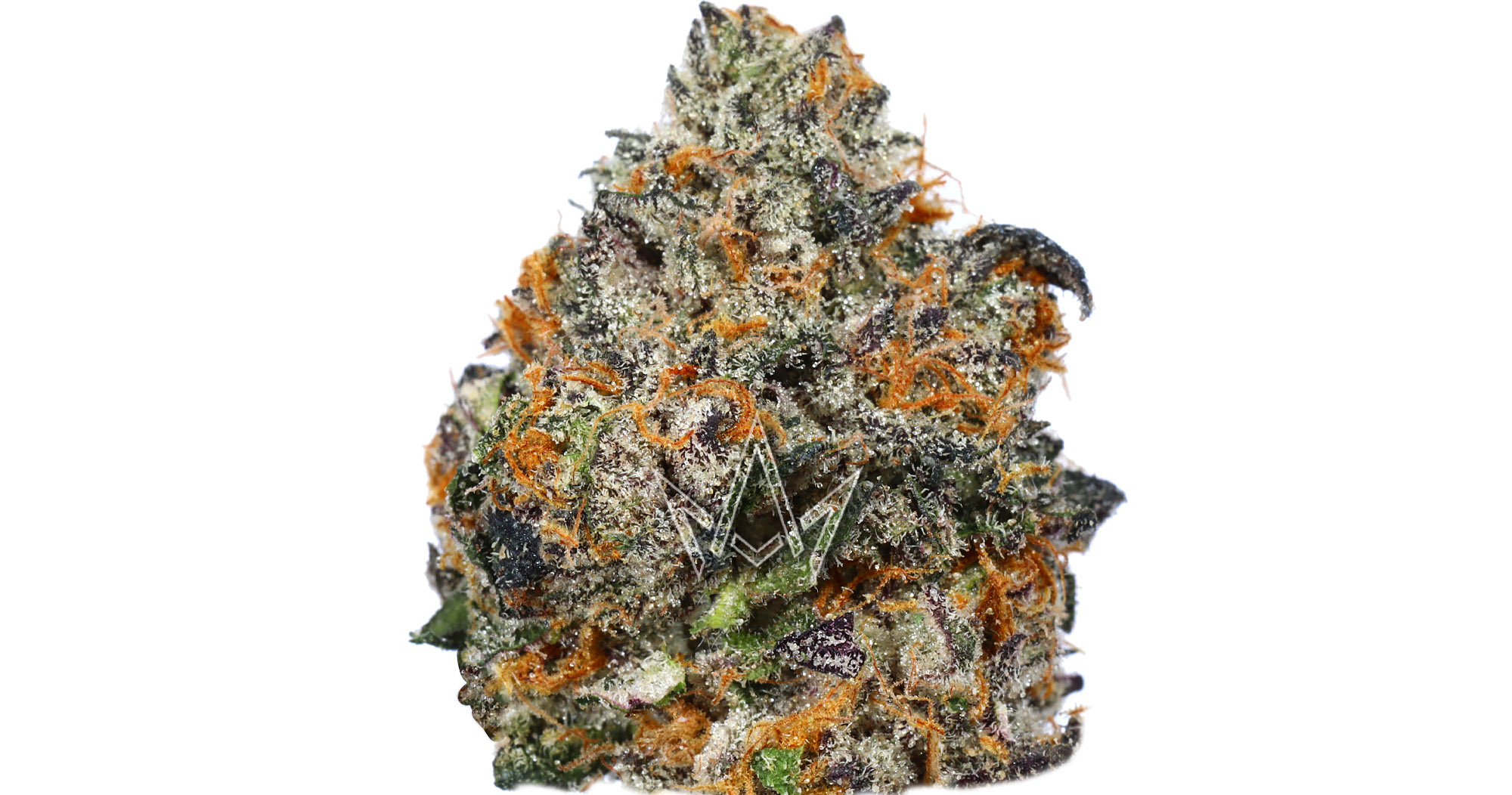 Vista - Decibel Gardens - C-Note - 3.5g - San Diego, Vista & Imperial ...