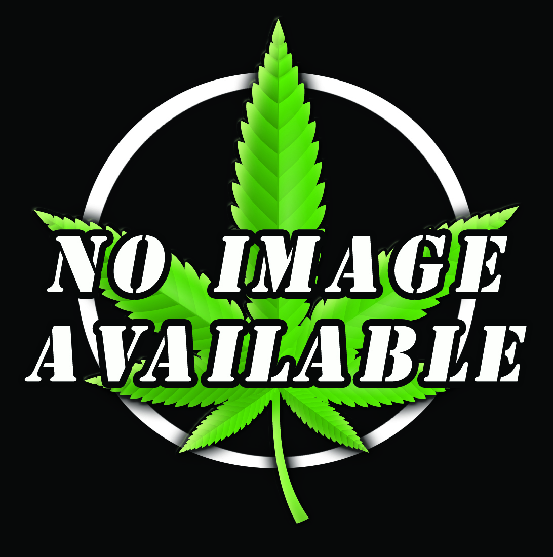 Jeeter - Nova - Infused Baby Cannon -1.3 Grams | GreenStone