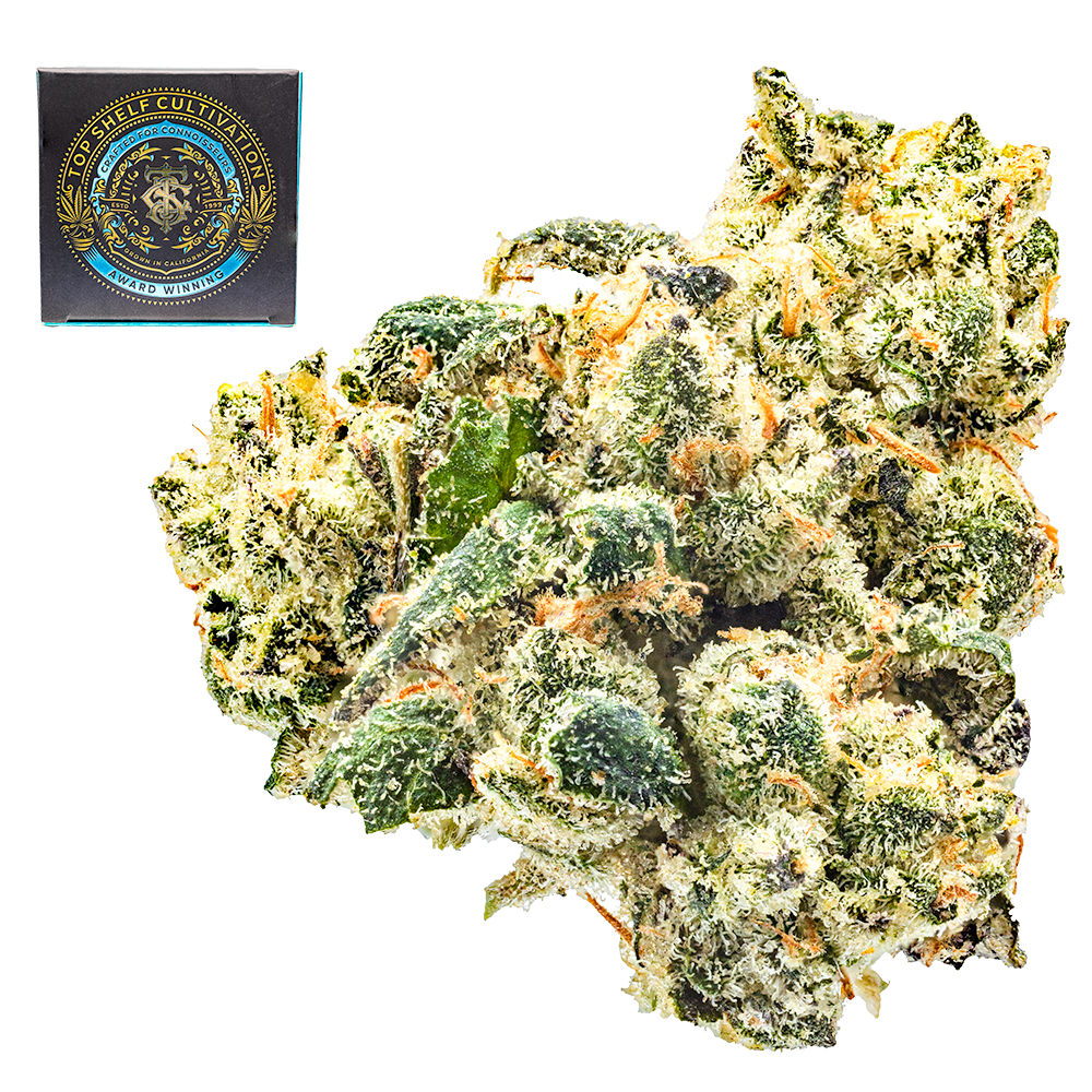 SFV OG